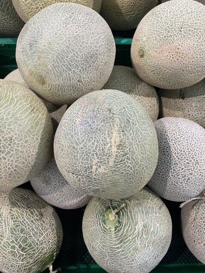 Collection of fresh melons stock image. Image of bunch - 293619819