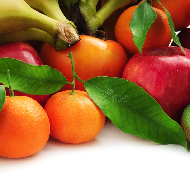 Collection of Different Fruits. Stock Illustration - Illustration of ...