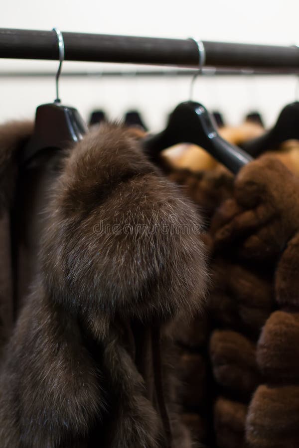 Collection of fur stock image. Image of gift, modern - 52353371