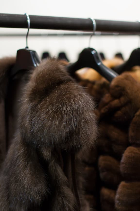 Collection of fur stock image. Image of gift, modern - 52353371