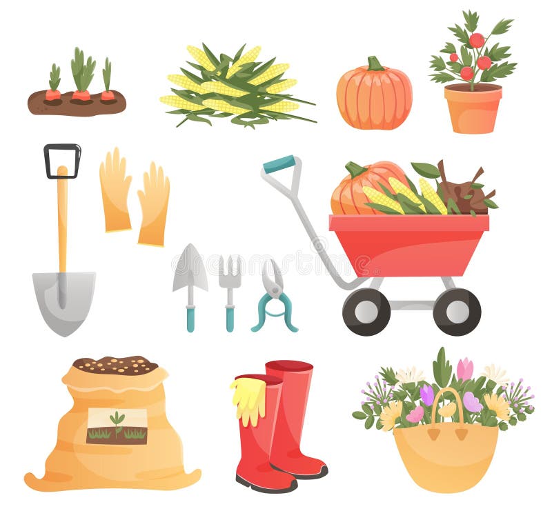 Collection of Garden Tools and Plants. Gardening or Agriculture Concept ...