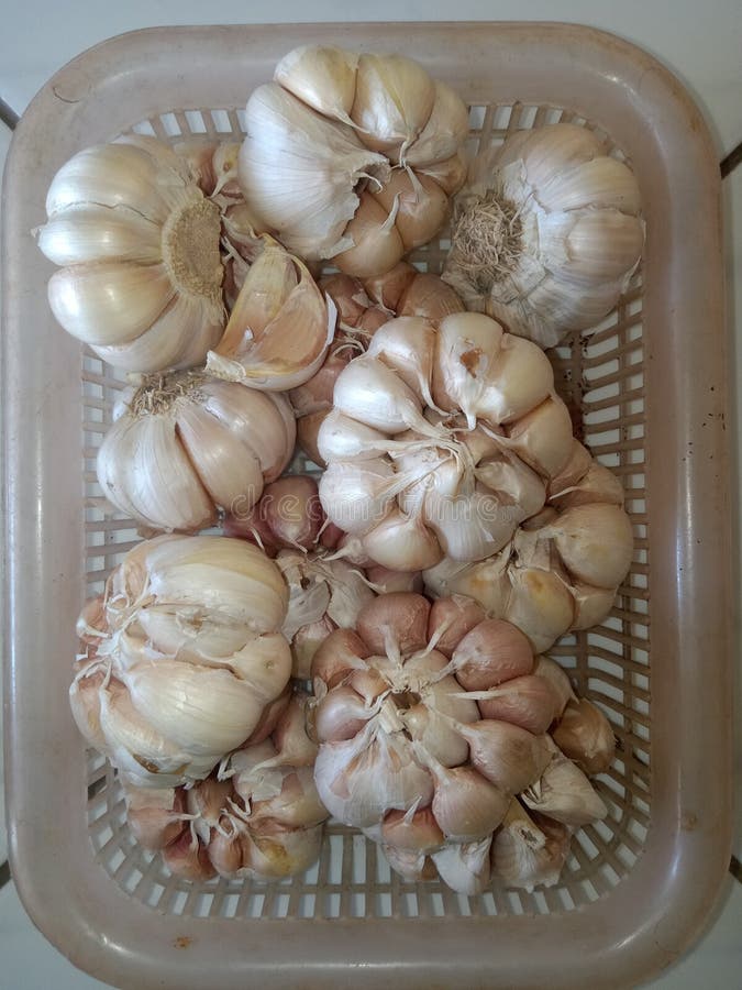 Collection of Garlic in a Container Stock Photo - Image of container ...