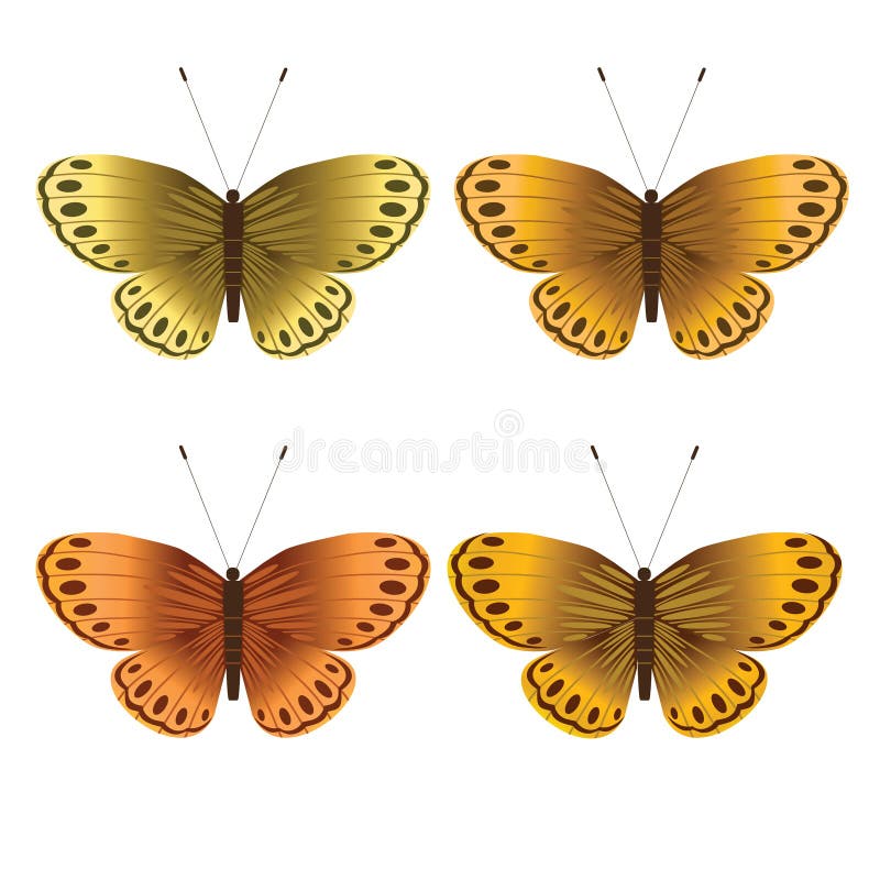 Collection of Gold Butterflies, Design Elements Stock Vector ...