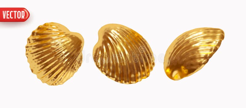Collection Gold Shell Scallop. Set of Scallop Seashell Closed Shapes of ...