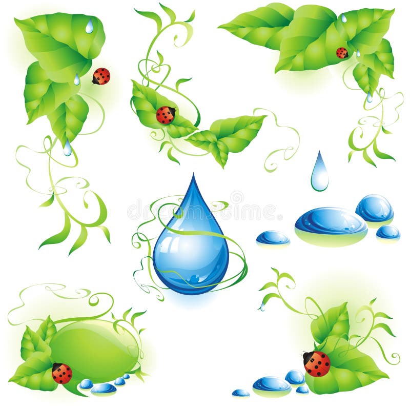 Collection of Green Design Elements. Stock Vector - Illustration of ...