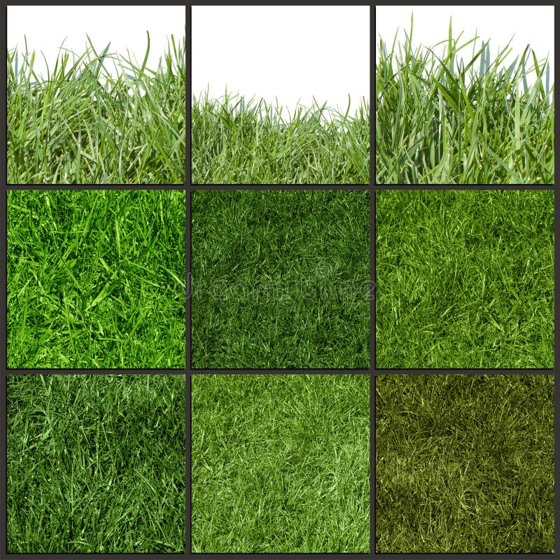 Collection of Green Grass Texture, Close Up. Stock Photo - Image of ...