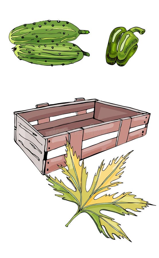 Collection of Green Hand Drawn Cucumbers, Pepper, Box and Leaf Stock ...