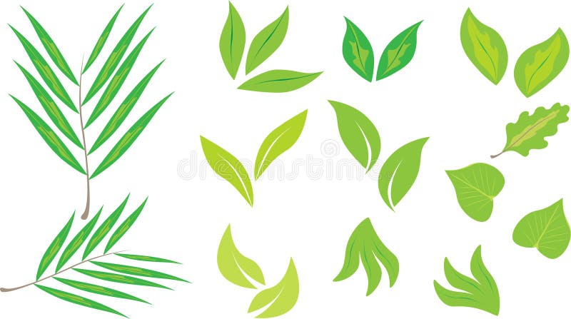 A Collection of Green Spring Leaves. Environmental Concept. Stock ...