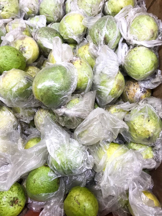 A Collection of Guava Fruits Stock Photo - Image of guava, health ...