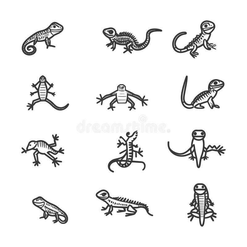 Twelve Cute Lizards Cartoon Illustration Set Stock Vector ...