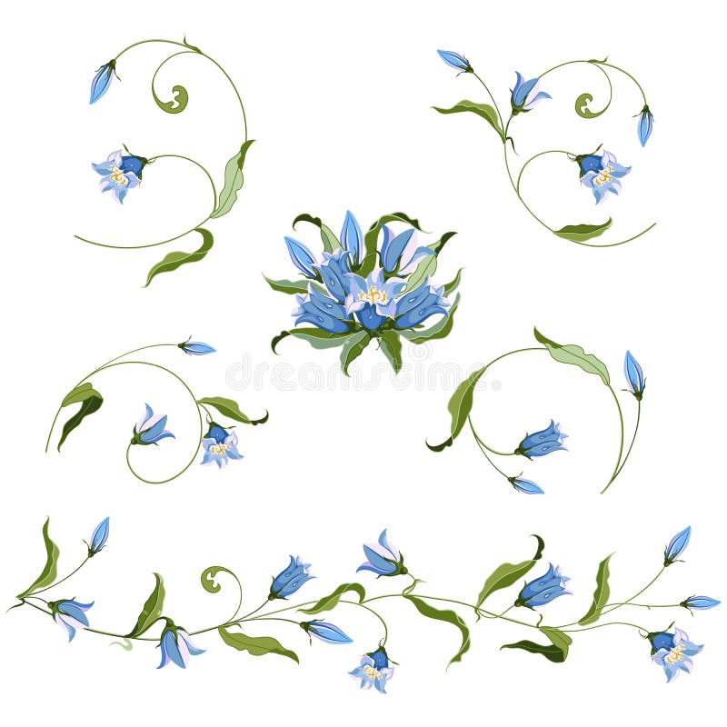 Collection of Hand Drawn Blue Bell Flower, Composition Stock Vector ...