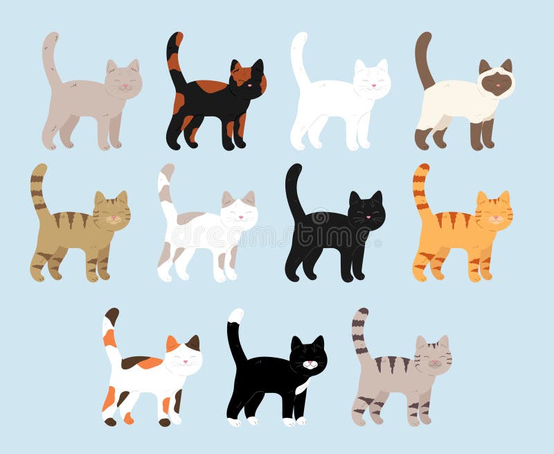 Collection of Hand Drawn Cats with Different Colors. Cats with ...