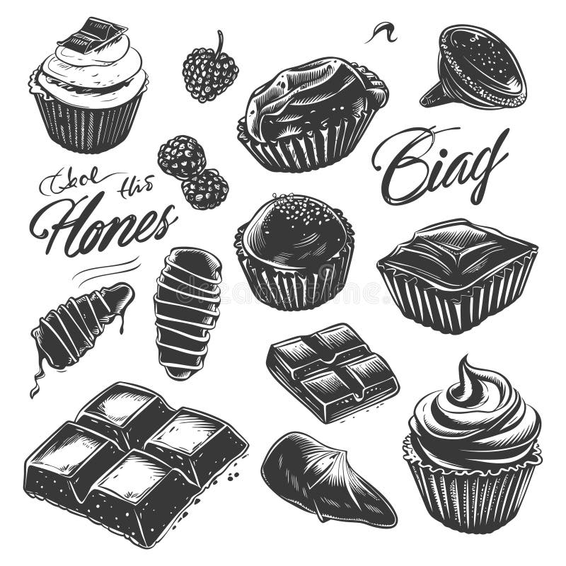 Delicious Chocolate and Sweet Cupcakes Collection: Engraving Style ...