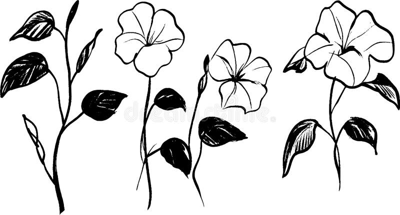 A Collection of Hand-drawn Flowers with Leaves, Featuring Three ...