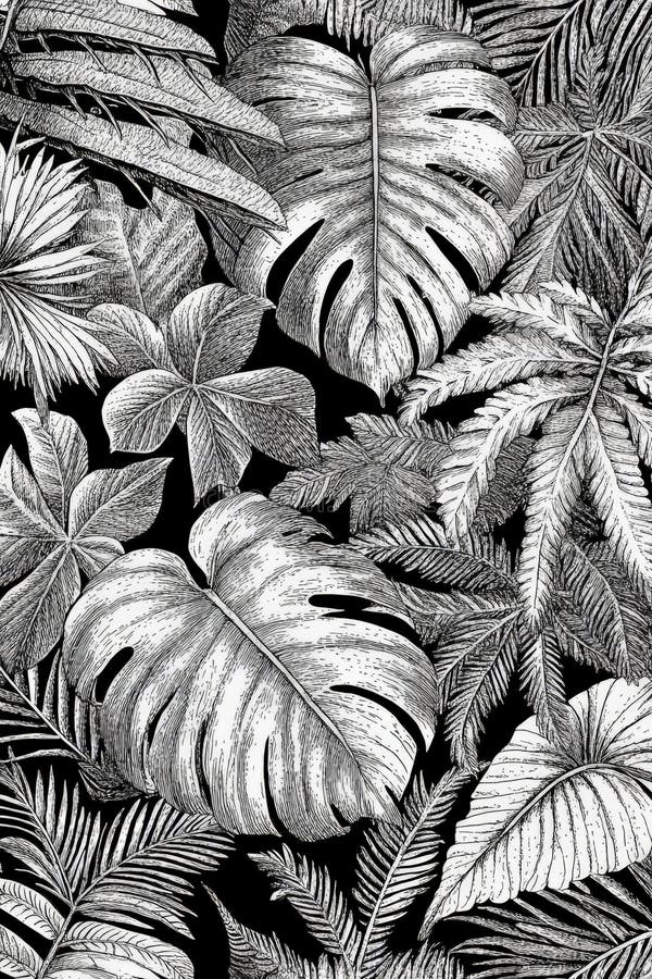 A Collection of Hand-engraved Tropical Leaves, with Detailed Line Work ...