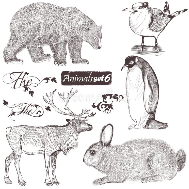 Collection of High Detailed Animals Stock Vector - Illustration of ...