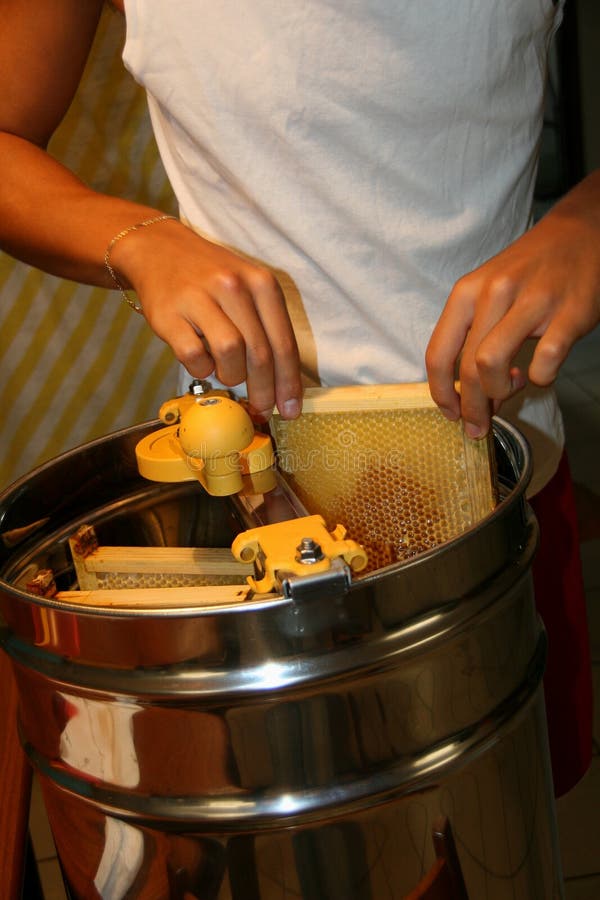 Honey Extraction Stock Photos - Download 590 Royalty Free Photos