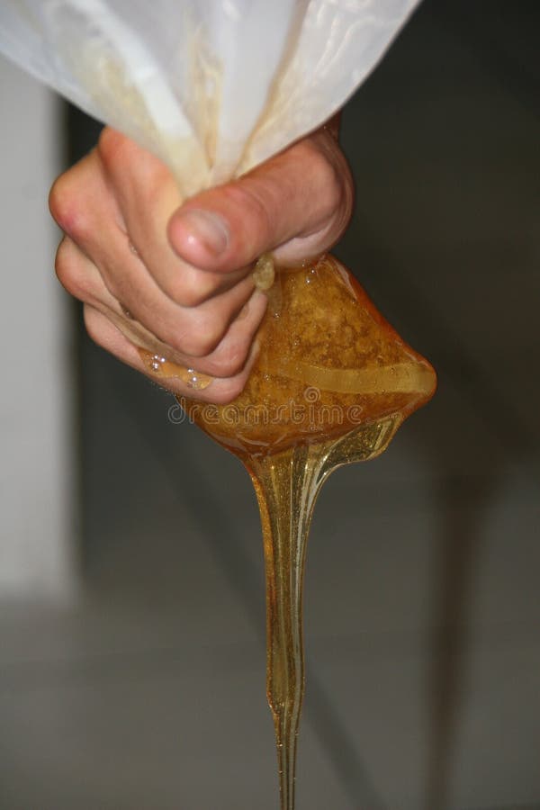 Honey extraction stock image. Image of bees, booty, nectar - 98913643 Honey extraction stock image. Image of bees, booty, nectar - 98913643