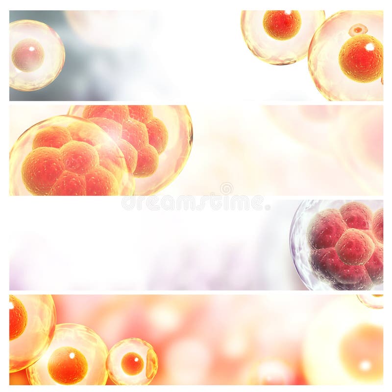 Collection of Horizontal Banners with Organic Cells. Virus, Germ or ...