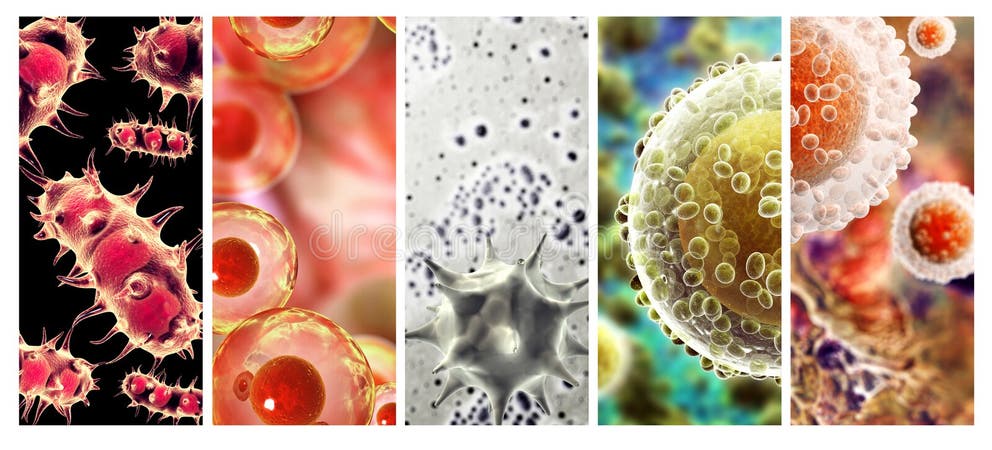 Collection of Horizontal or Vertical Banners with Pathogenic Bacterias ...