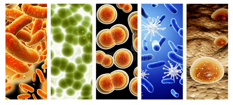 Collection of Horizontal or Vertical Banners with Pathogenic Bacterias ...