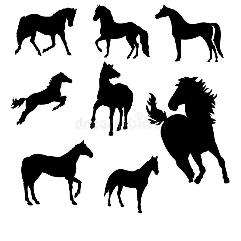 A Collection of Horse Vectors Stock Vector - Illustration of bridle ...