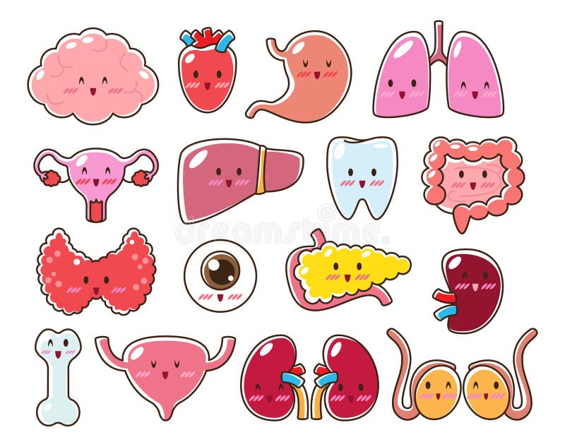 Collection of Human Internal Organs with Cartoon Face Style . Editable ... Collection of Human Internal Organs with Cartoon Face Style . Editable ...