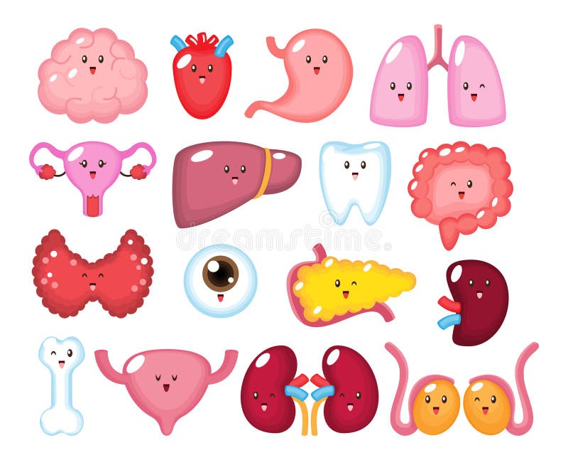 Collection of Human Internal Organs with Cartoon Face Style . Vector ...