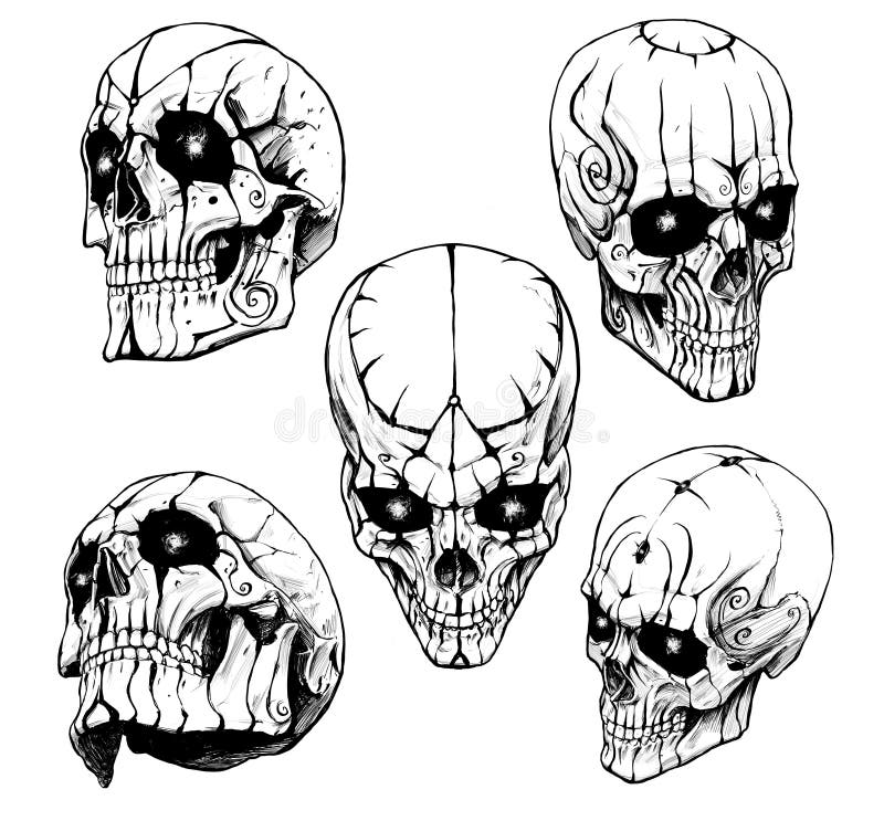 Collection of human skulls stock illustration. Illustration of shading ...