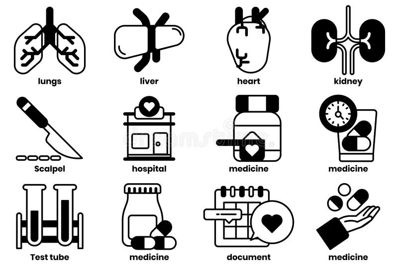 Collection of Illustrations in the Concept of Human Internal Organs ...