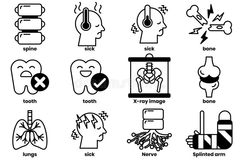 Collection of Illustrations in the Concept of Human Internal Organs ...