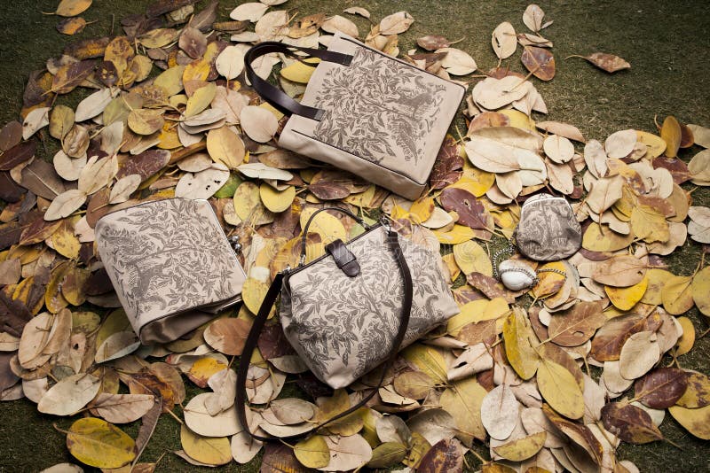 Collection of Indian Design Bags are Placed on the Ground Stock Photo ...