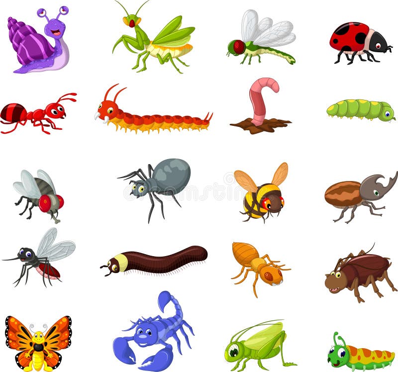 Insect Cartoon Collection Set Stock Vector - Illustration of entomology ...