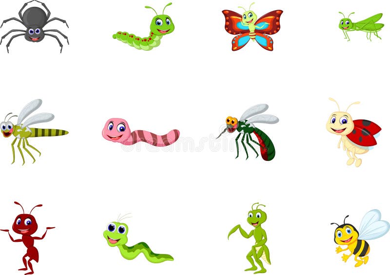 Collection of Insects Cartoon for You Design Stock Illustration ...