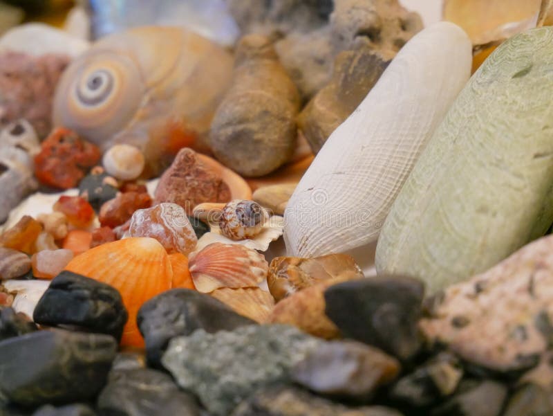 Collection of Interesting Sea Shells and Gemstones from Three Seas ...