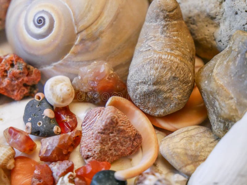 Collection of Interesting Sea Shells and Gemstones from Three Seas ...