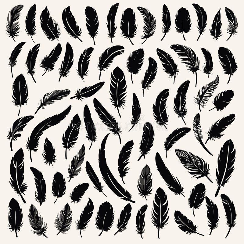 Collection of Intricate Feather Illustrations Pattern Vector Design ...