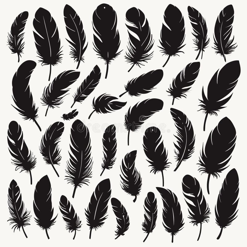 Collection of Intricate Feather Illustrations Pattern Vector Design ...
