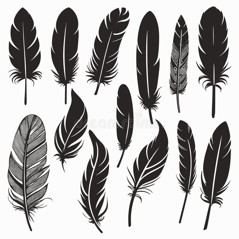 Collection of Intricate Feather Illustrations Pattern Vector Design ...