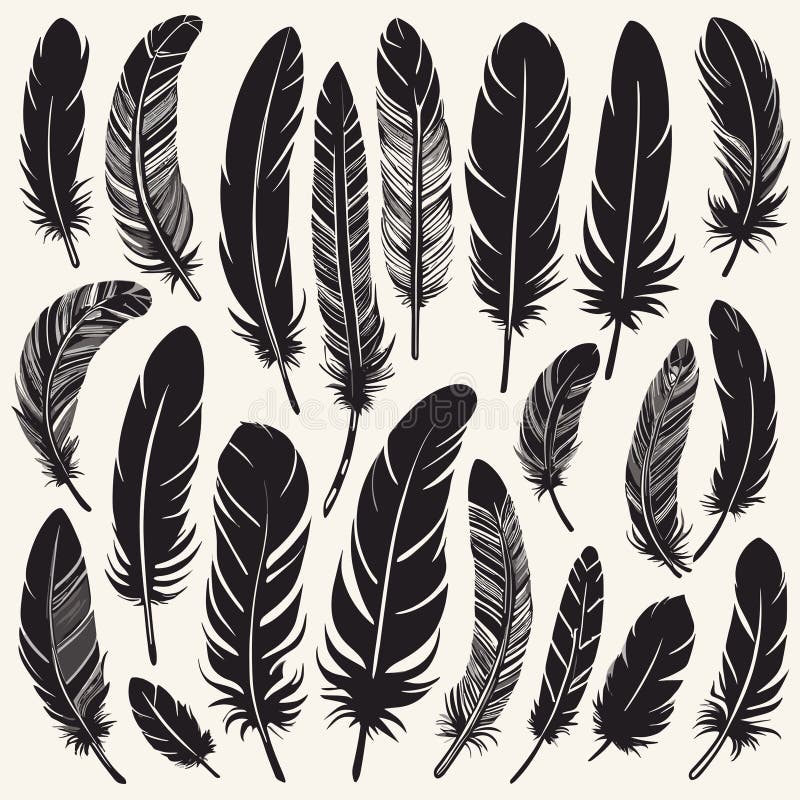 Collection of Intricate Feather Illustrations Pattern Vector Design ...
