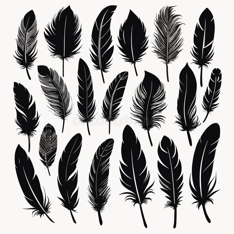 Collection of Intricate Feather Illustrations Pattern Vector Design ...