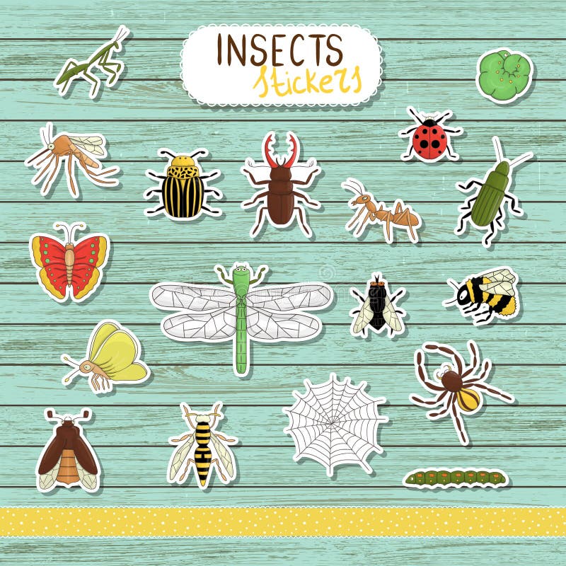 Vector Set of Colored Insect Stickers on Blue Wooden Background Stock ...