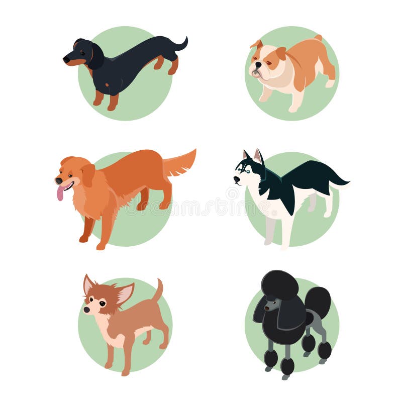 Collection of Isometric Dogs2 Stock Vector - Illustration of design ...