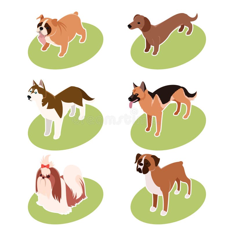 Collection of Isometric Dogs2 Stock Vector - Illustration of design ...