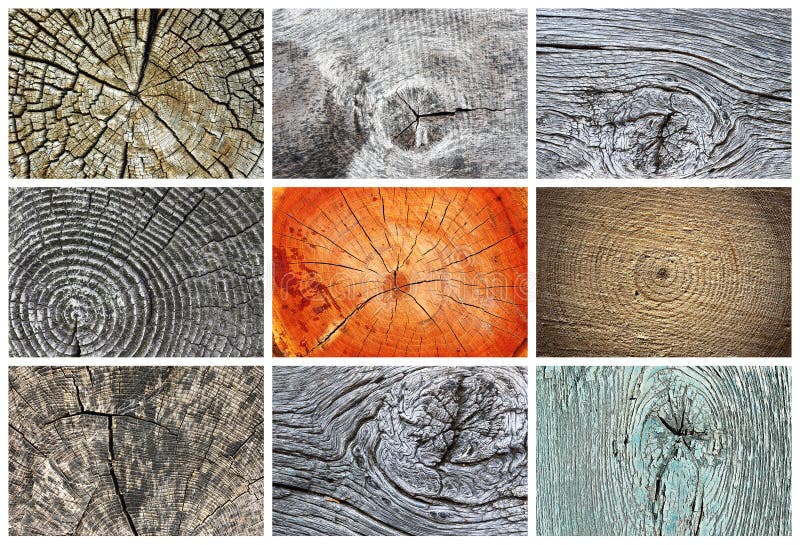 Collection of Knotty Wood Textures Stock Image - Image of retro, color ...