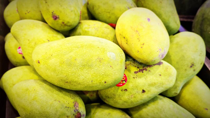 Collection of Large, Fresh Mangoes Stock Image - Image of tropical ...