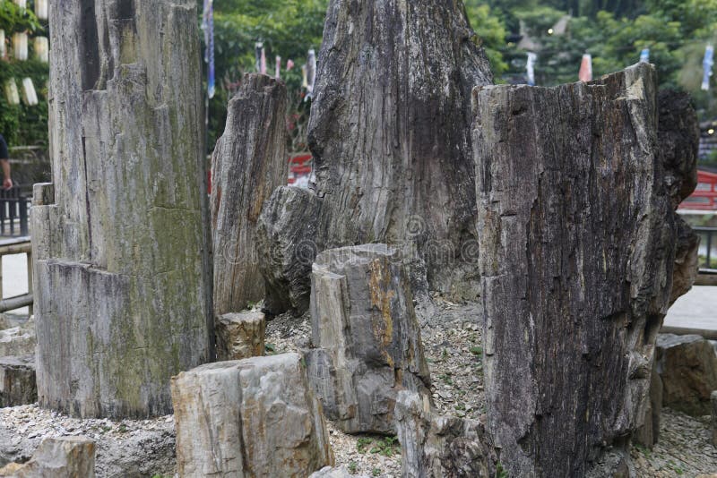 A Collection of Large Logs Arranged in a Park Setting Stock Photo ...