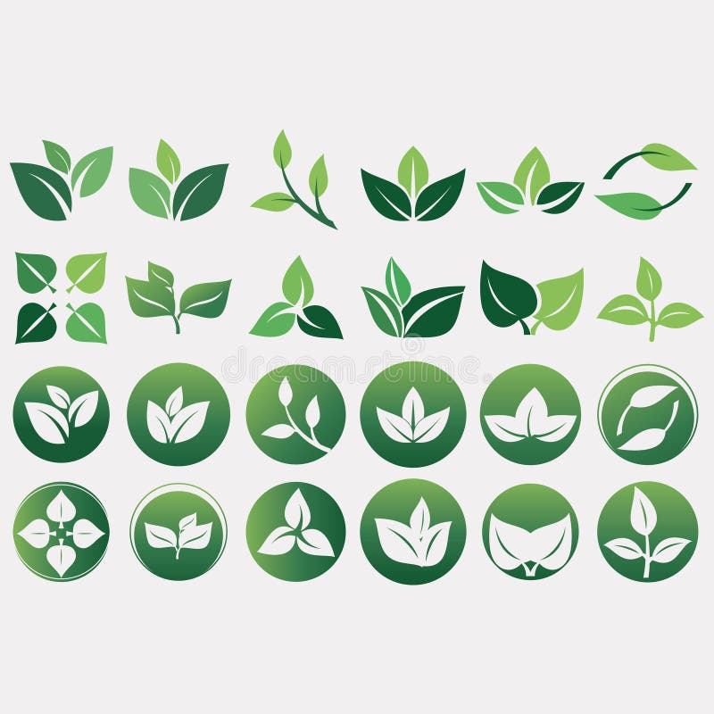 Collection of leaf logos stock vector. Illustration of collection ...