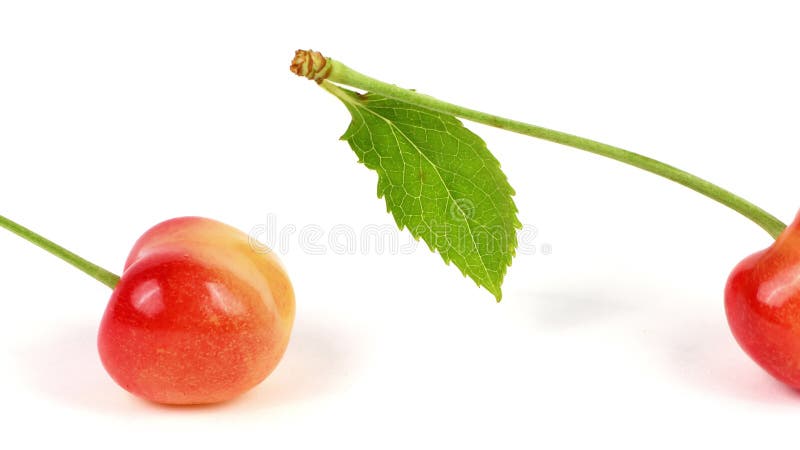 Collection of Light Red Different Sweet Cherries with Green Leaf, Side ...