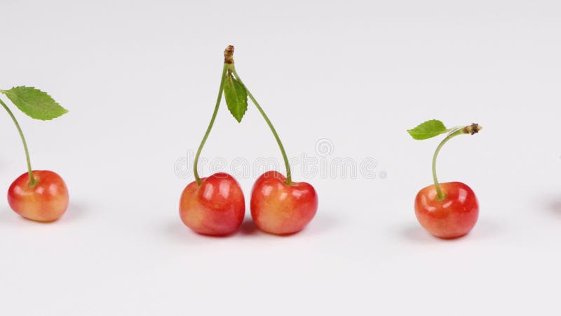 Collection of Light Red Different Sweet Cherries with Green Leaf, Side ...